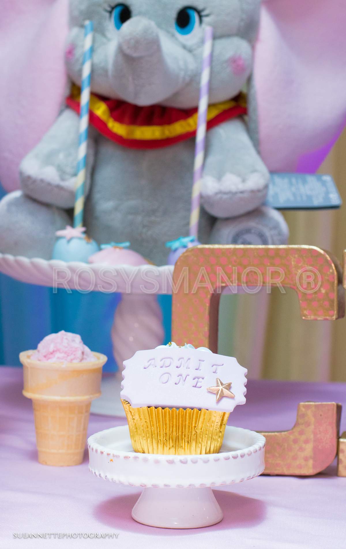 Dumbo Circus Birthday Party Ideas | Photo 1 of 116 | Catch My Party