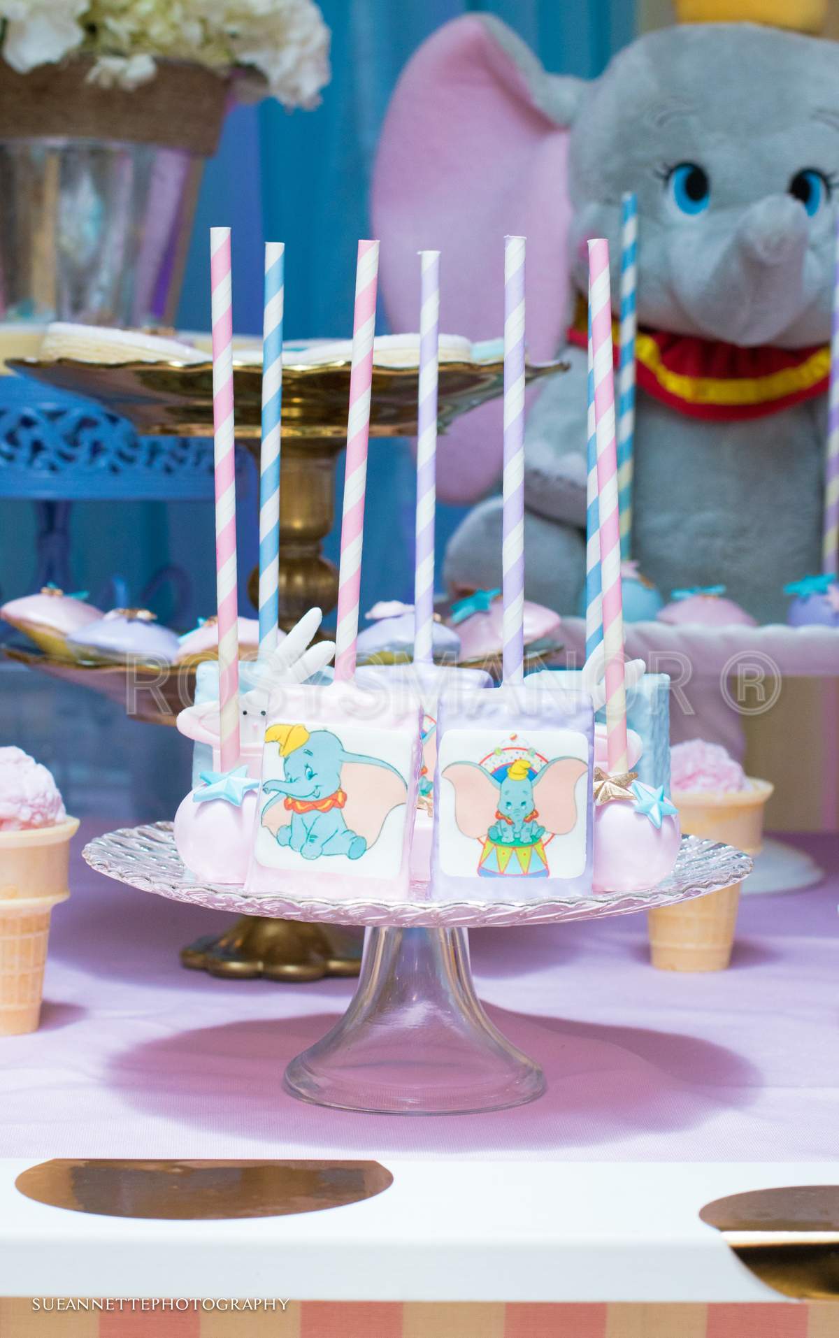 Dumbo Circus Birthday Party Ideas | Photo 1 of 116 | Catch My Party