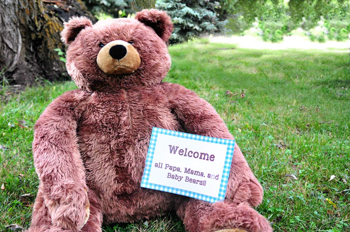 Teddy Bear Summer Party Ideas | Photo 10 of 17 | Catch My Party