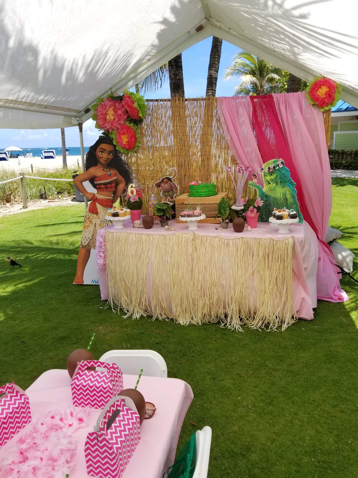 Moana Birthday Party Ideas | Photo 1 of 16 | Catch My Party