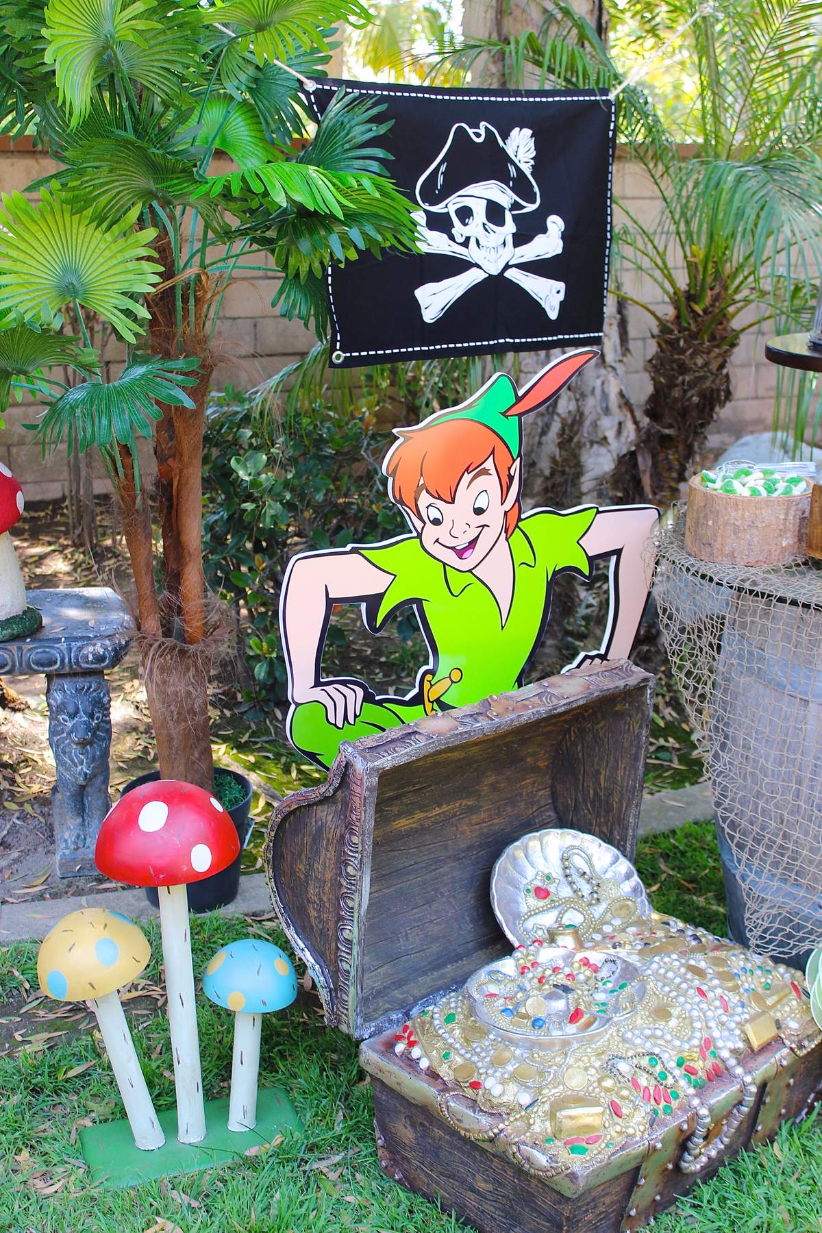Peter Pan Birthday Party Ideas | Photo 1 of 29 | Catch My Party