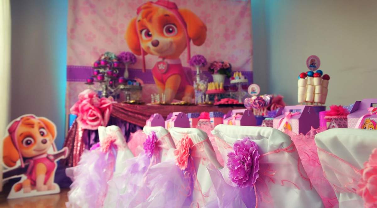 Skye Paw Patrol Birthday Party Ideas | Photo 1 of 52 | Catch My Party