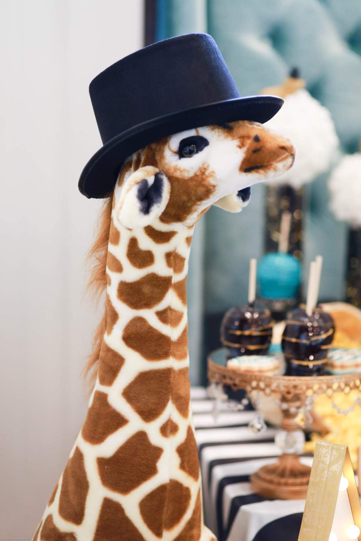 Vintage Circus Graduation/End of School Party Ideas | Photo 1 of 26 ...