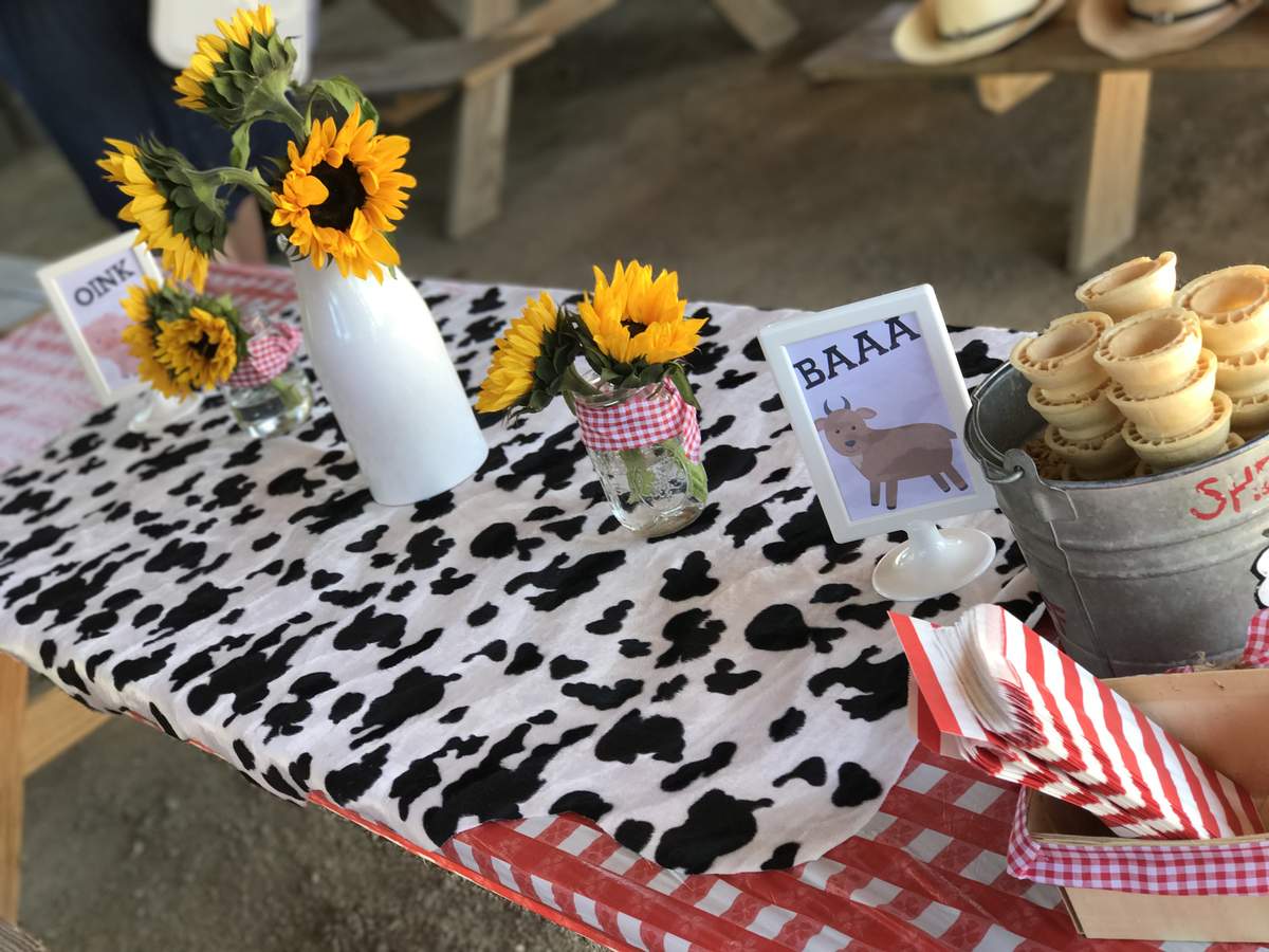 Farm Party Birthday Party Ideas | Photo 2 of 39 | Catch My Party