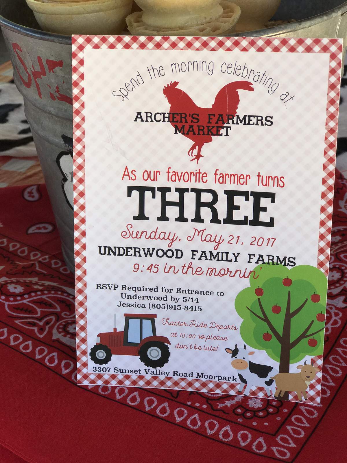 Farm Party Birthday Party Ideas | Photo 28 of 39 | Catch My Party