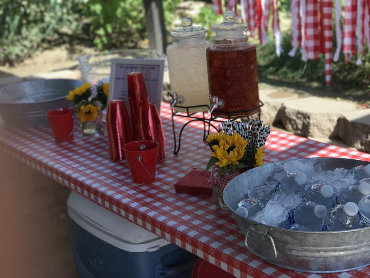 Farm Party Birthday Party Ideas | Photo 2 of 39 | Catch My Party