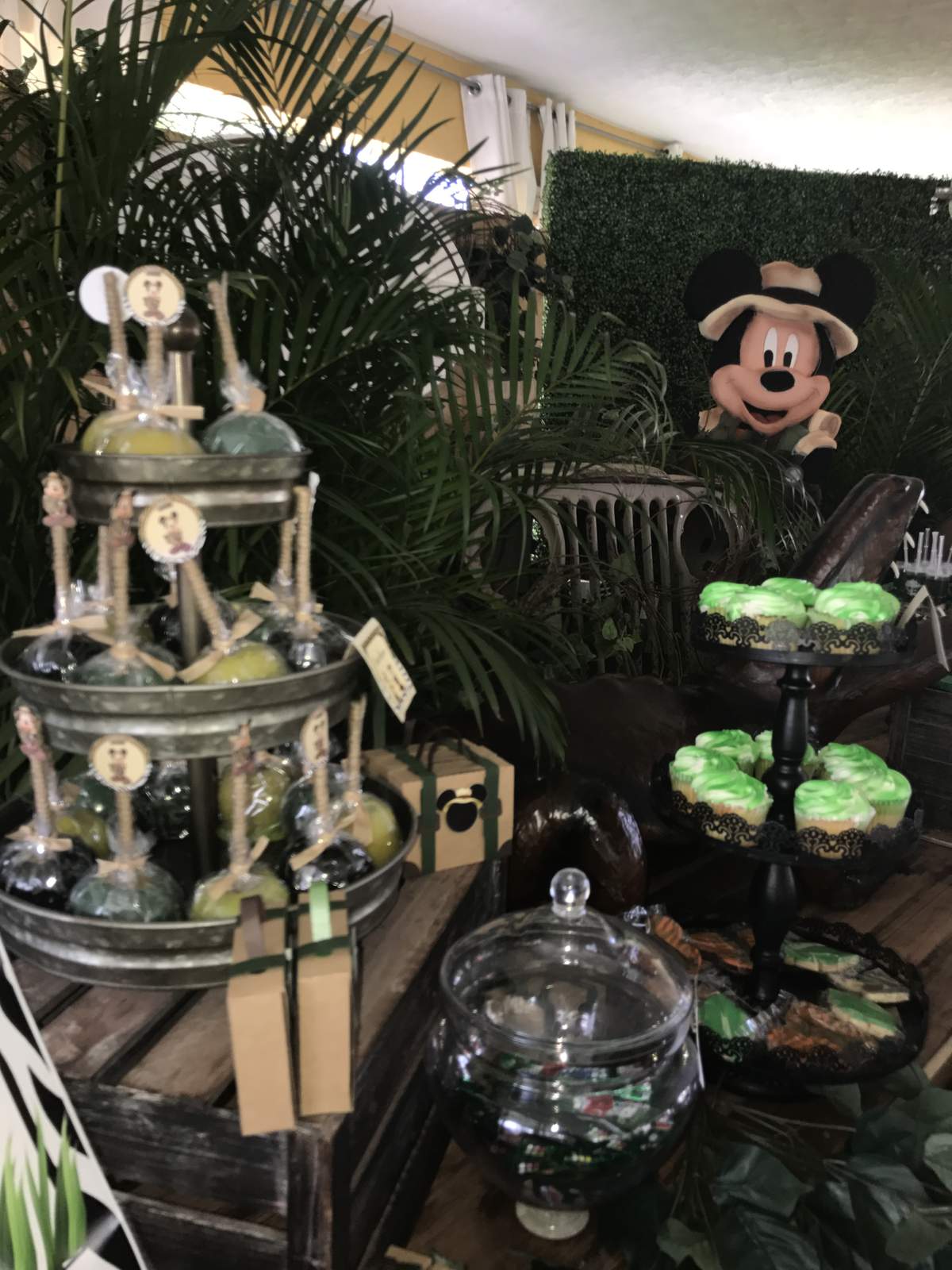 Mickey Mouse African Safari Expedition Tour Birthday Party Ideas ...
