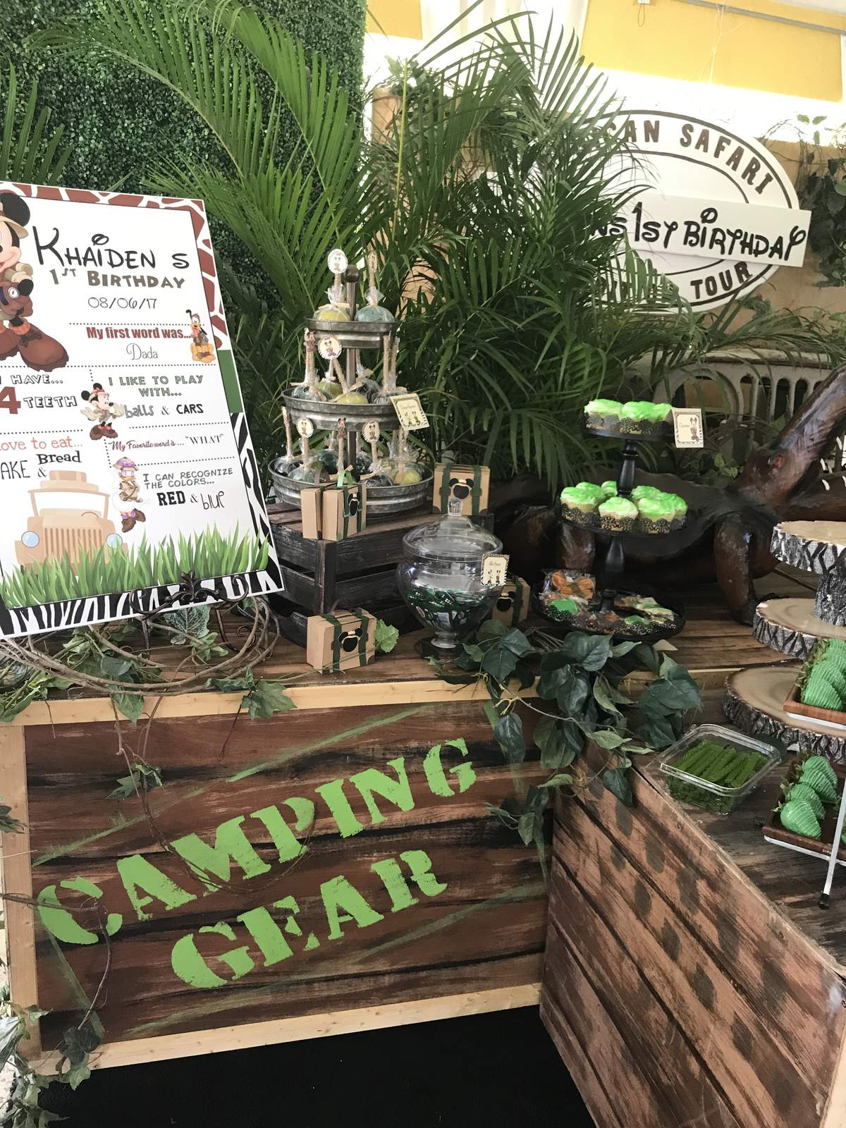 Mickey Mouse African Safari Expedition Tour Birthday Party Ideas ...