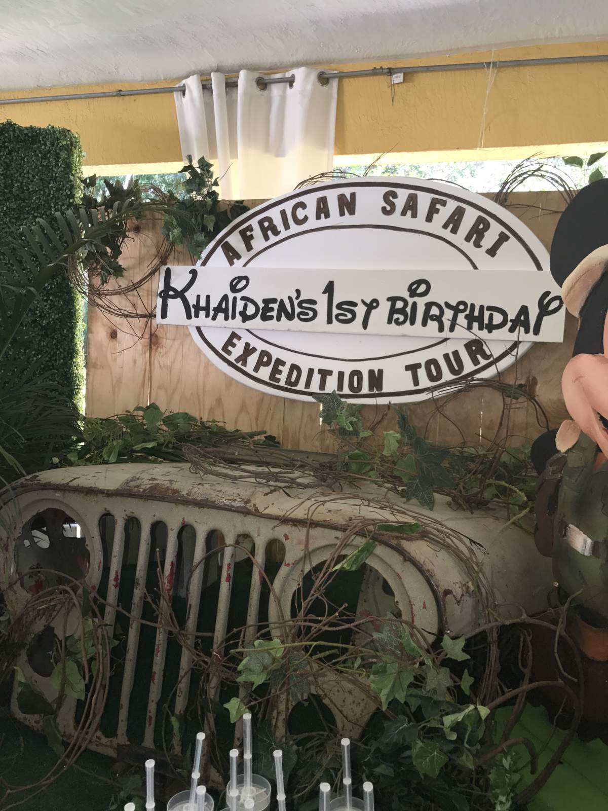 Mickey Mouse African Safari Expedition Tour Birthday Party Ideas ...
