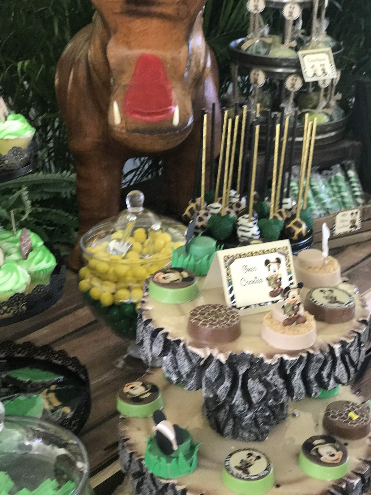 Mickey Mouse African Safari Expedition Tour Birthday Party Ideas ...