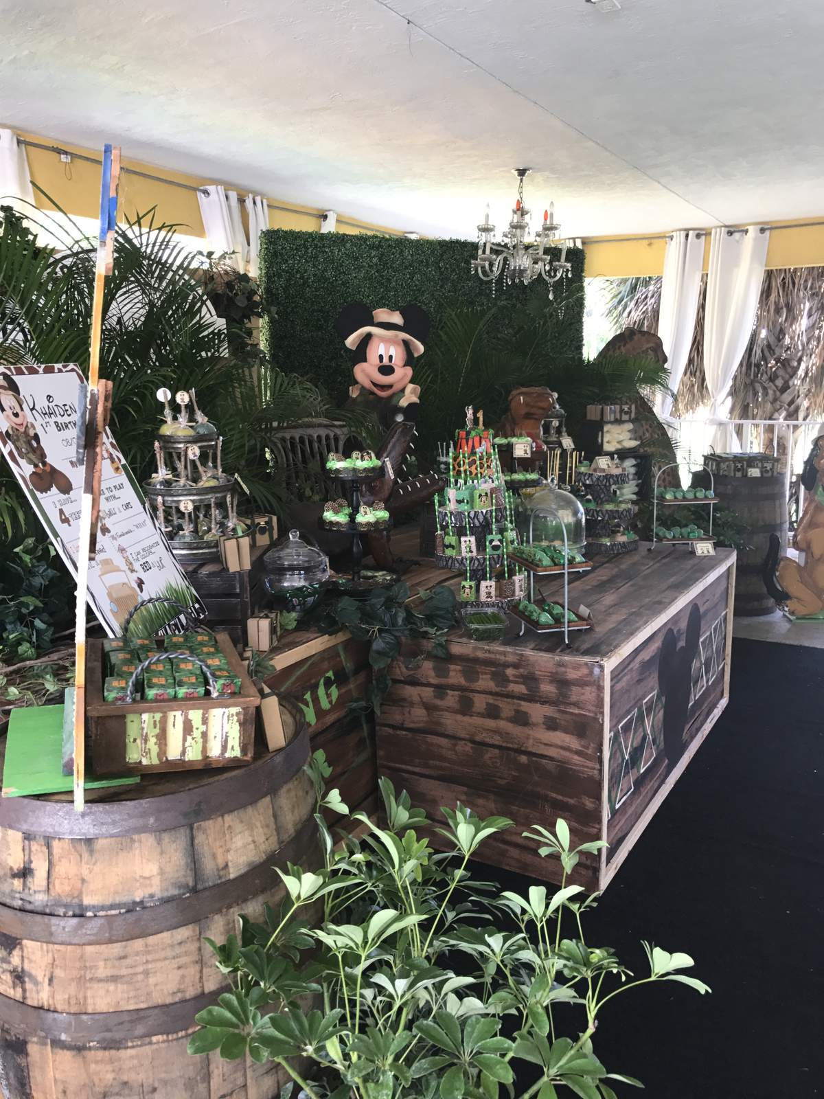 Mickey Mouse African Safari Expedition Tour Birthday Party Ideas ...