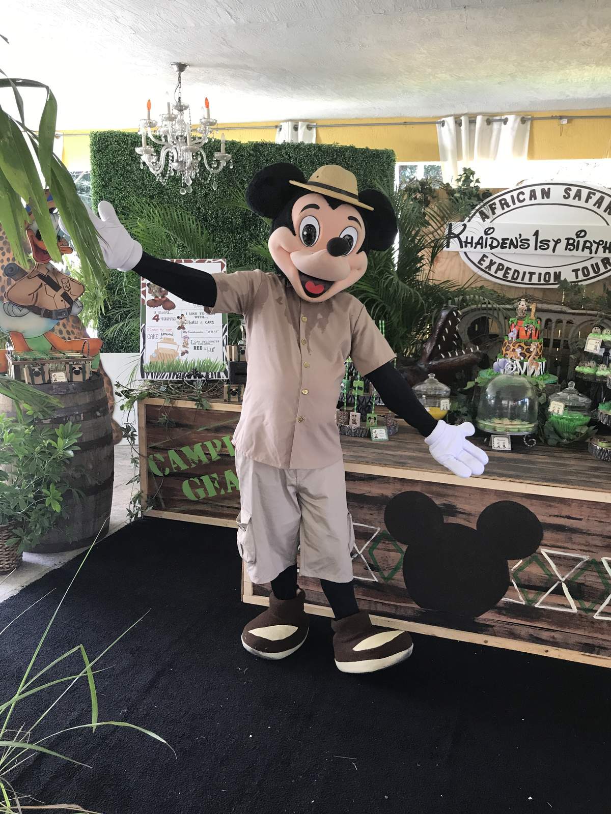 Mickey Mouse African Safari Expedition Tour Birthday Party Ideas ...