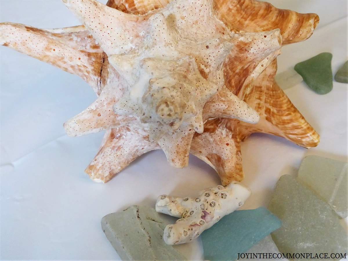 Mermaids Birthday Party Ideas | Photo 3 of 23 | Catch My Party