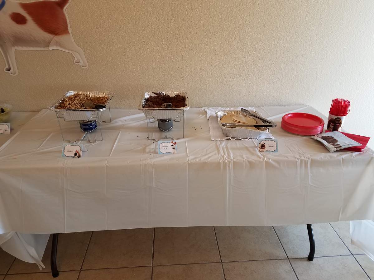 Secret life of pets Birthday Party Ideas | Photo 2 of 23 | Catch My Party