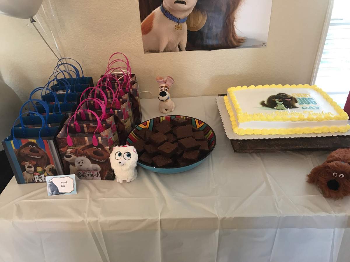 Secret life of pets Birthday Party Ideas | Photo 2 of 23 | Catch My Party