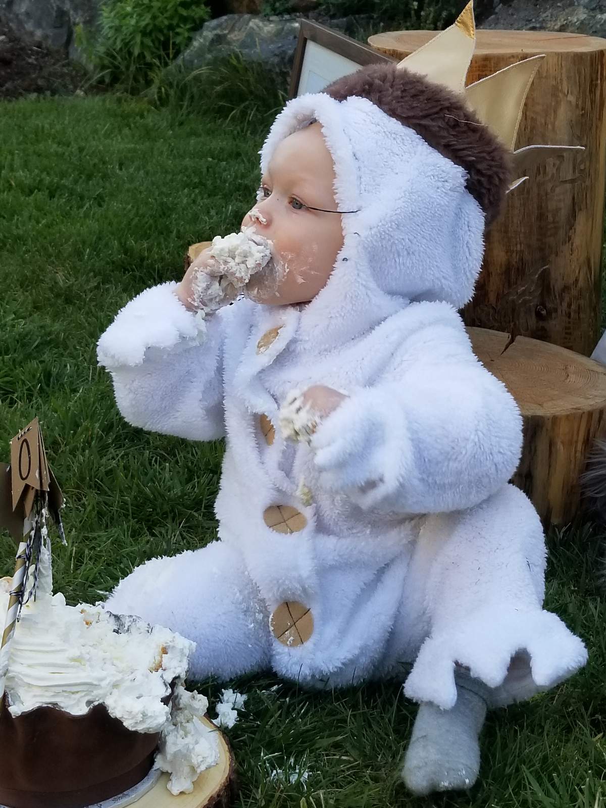 Where the Wild Things Are Birthday Party Ideas | Photo 3 of 16 | Catch ...