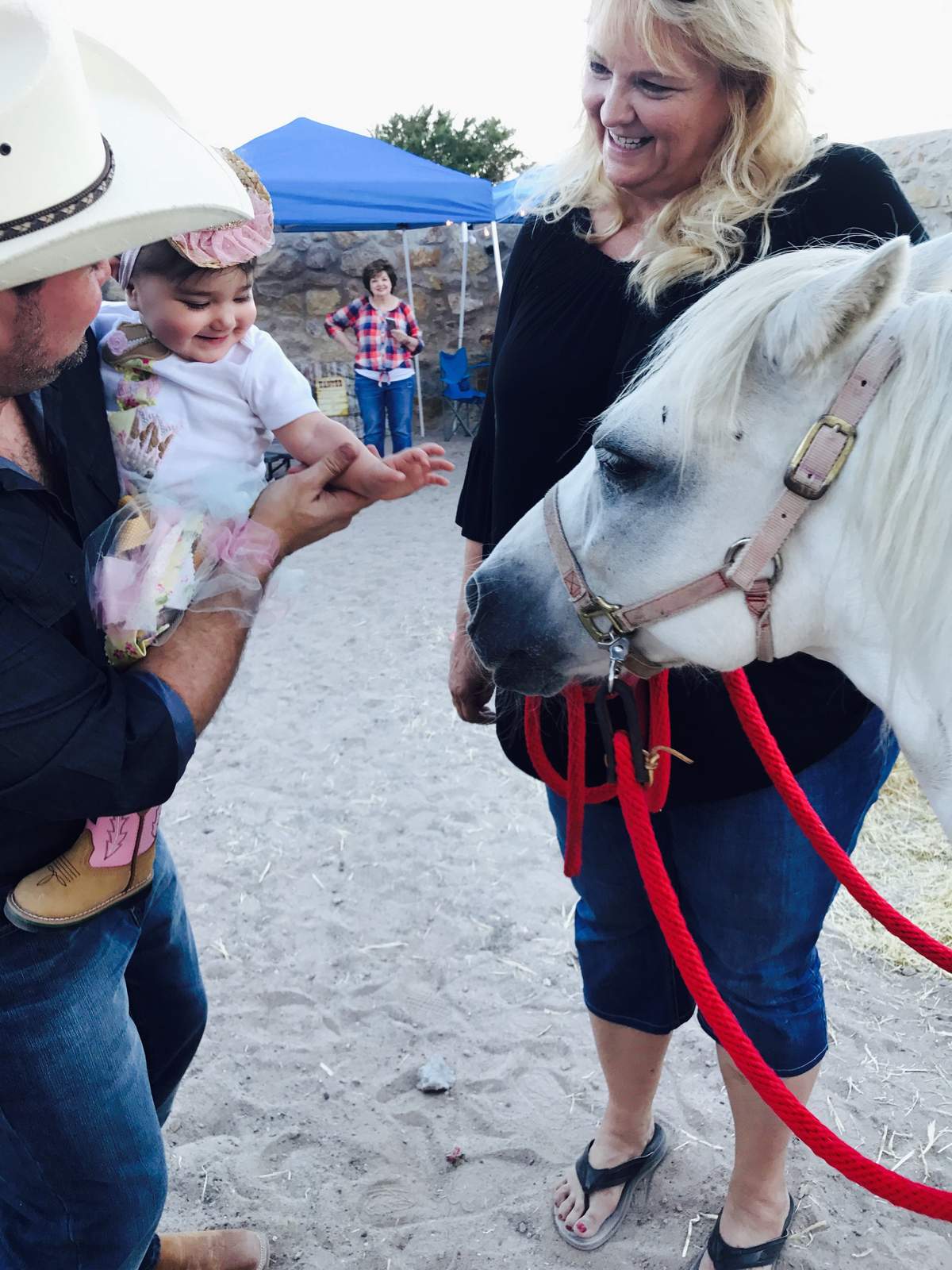 Western Rodeo Birthday Party Ideas | Photo 7 of 7 | Catch My Party