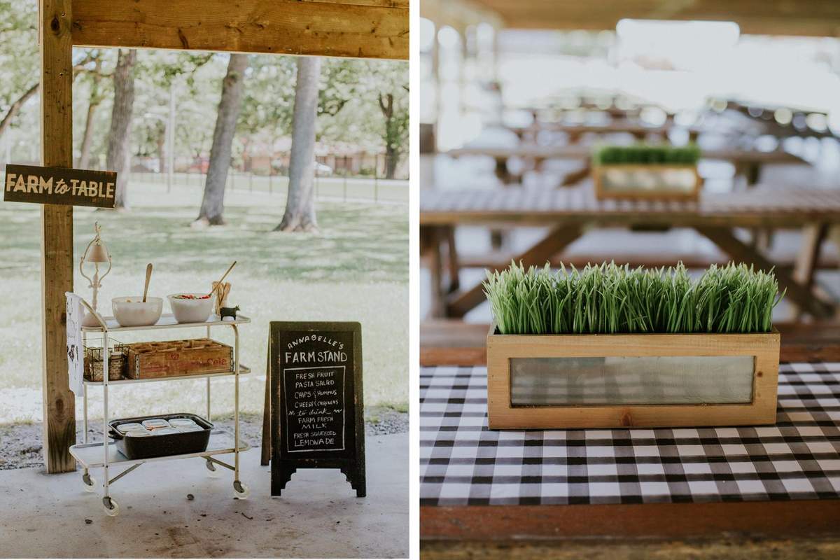 Farm Birthday Party Ideas | Photo 8 of 22 | Catch My Party