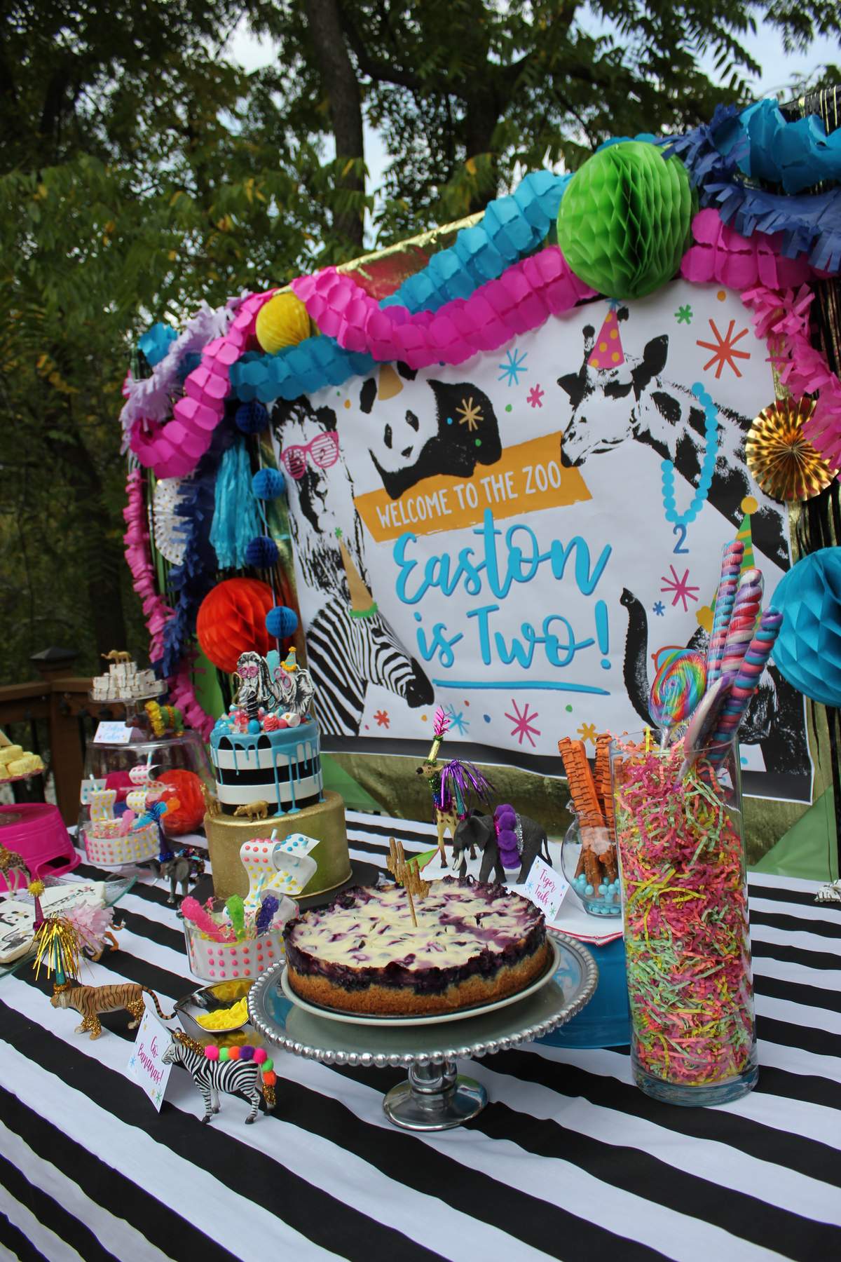 Party Animal Birthday Party Ideas | Photo 2 of 61 | Catch My Party