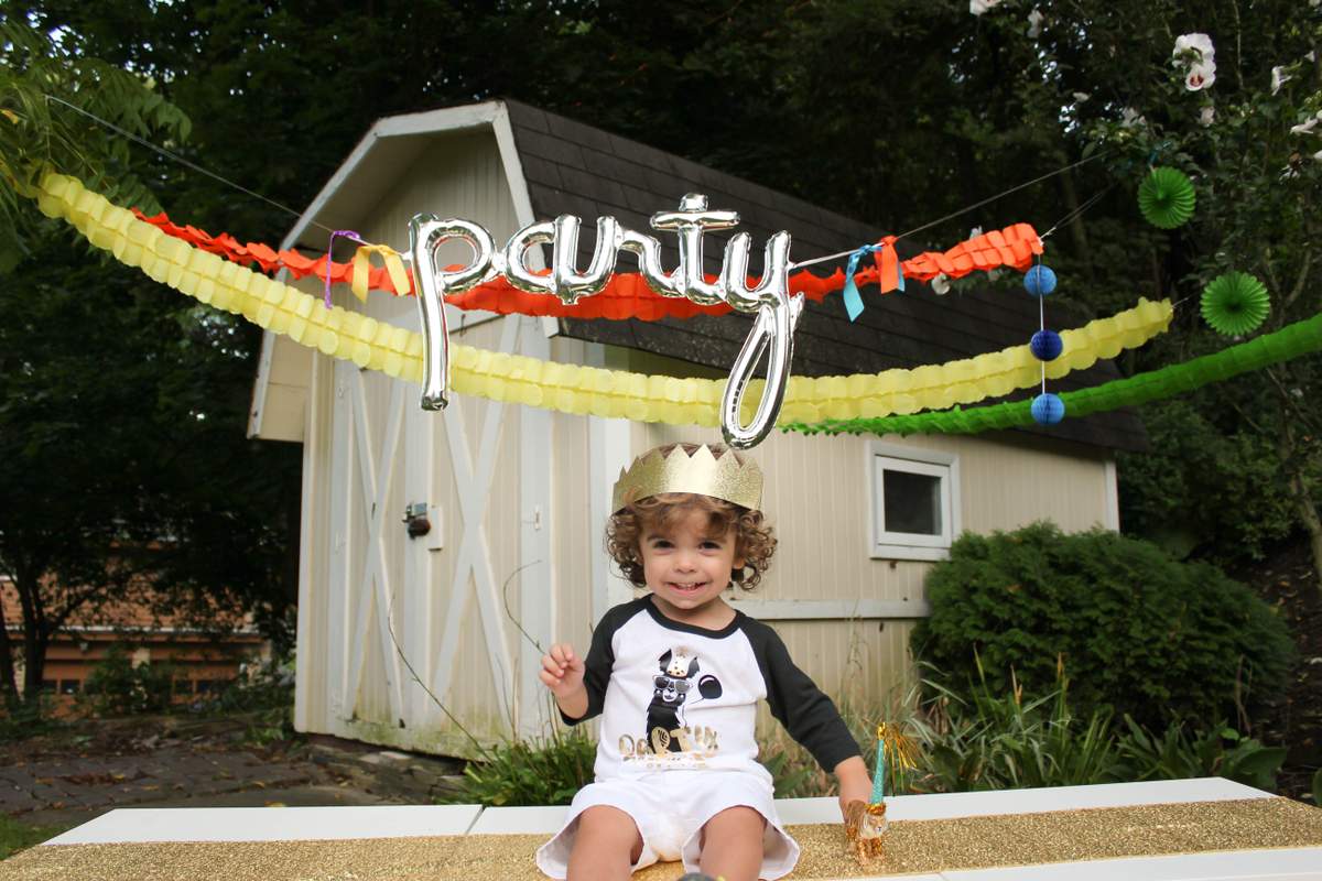 Party Animal Birthday Party Ideas | Photo 2 of 61 | Catch My Party