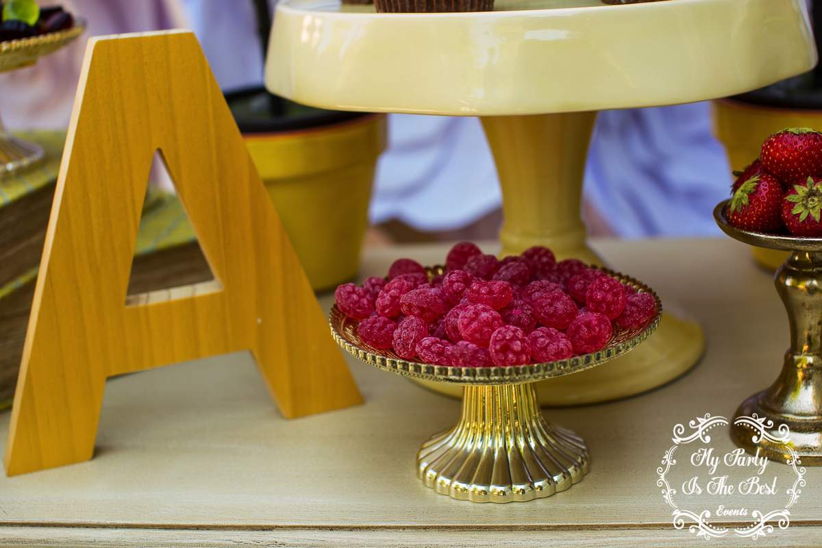 Anna`s no themed party Birthday Party Ideas | Photo 1 of 24 | Catch My ...