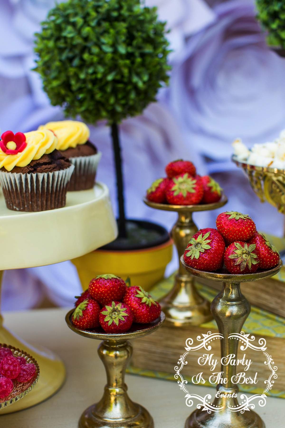 Anna`s no themed party Birthday Party Ideas | Photo 1 of 24 | Catch My ...