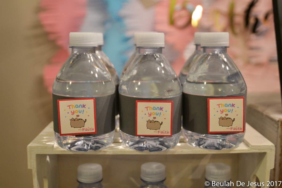 Pusheen Birthday Party Ideas | Photo 1 of 34 | Catch My Party