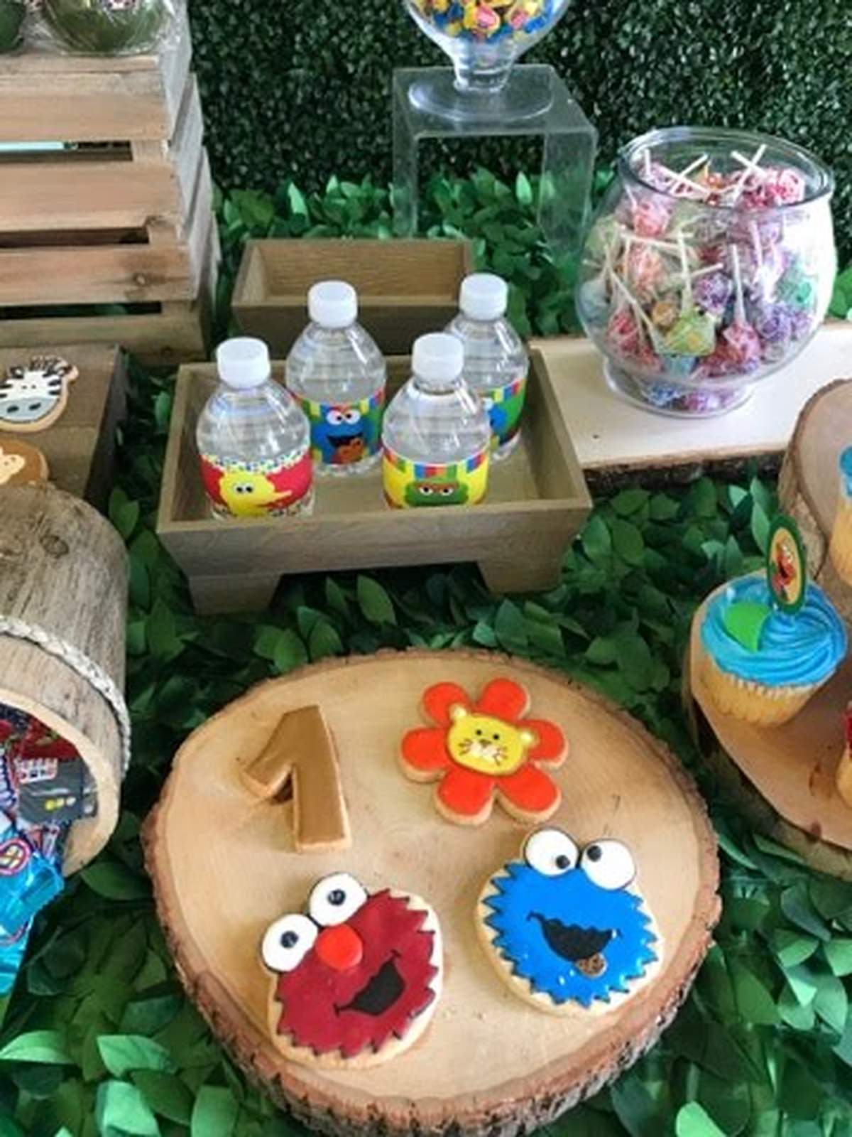 Elmo/Sesame Street Safari Birthday Party Ideas | Photo 9 of 24 | Catch ...