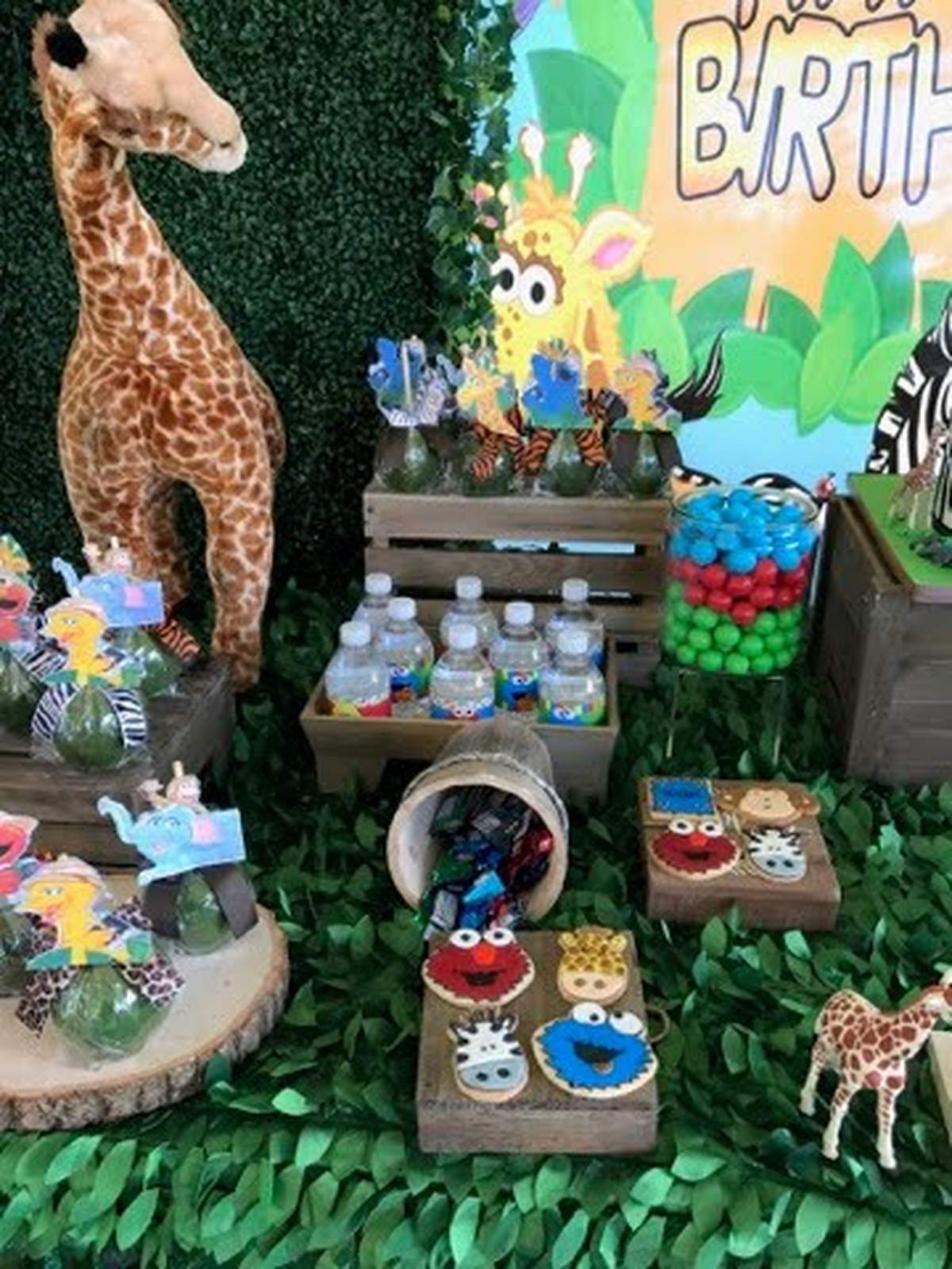 Elmo/Sesame Street Safari Birthday Party Ideas | Photo 9 of 24 | Catch ...
