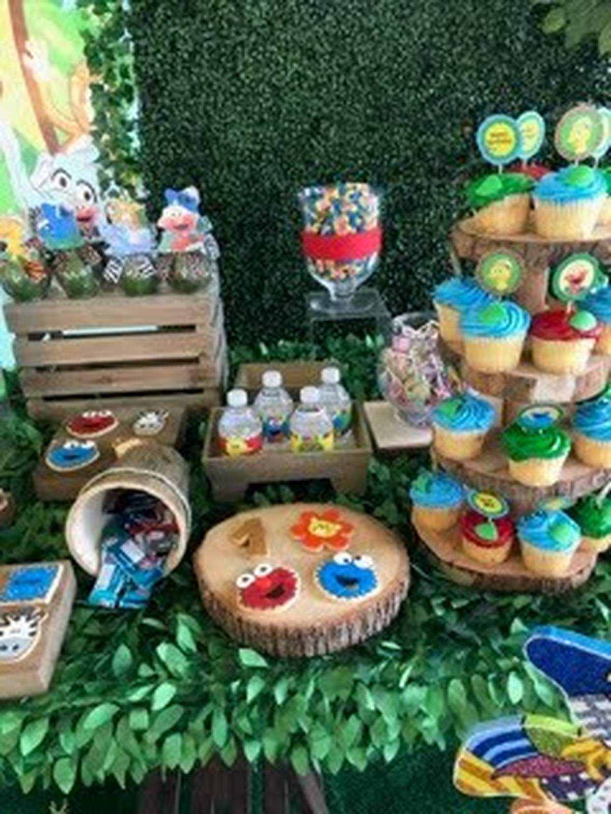Elmo/Sesame Street Safari Birthday Party Ideas | Photo 9 of 24 | Catch ...