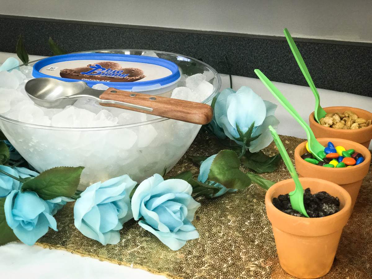 Blue Bunny Birthday Party Ideas | Photo 13 of 28 | Catch My Party