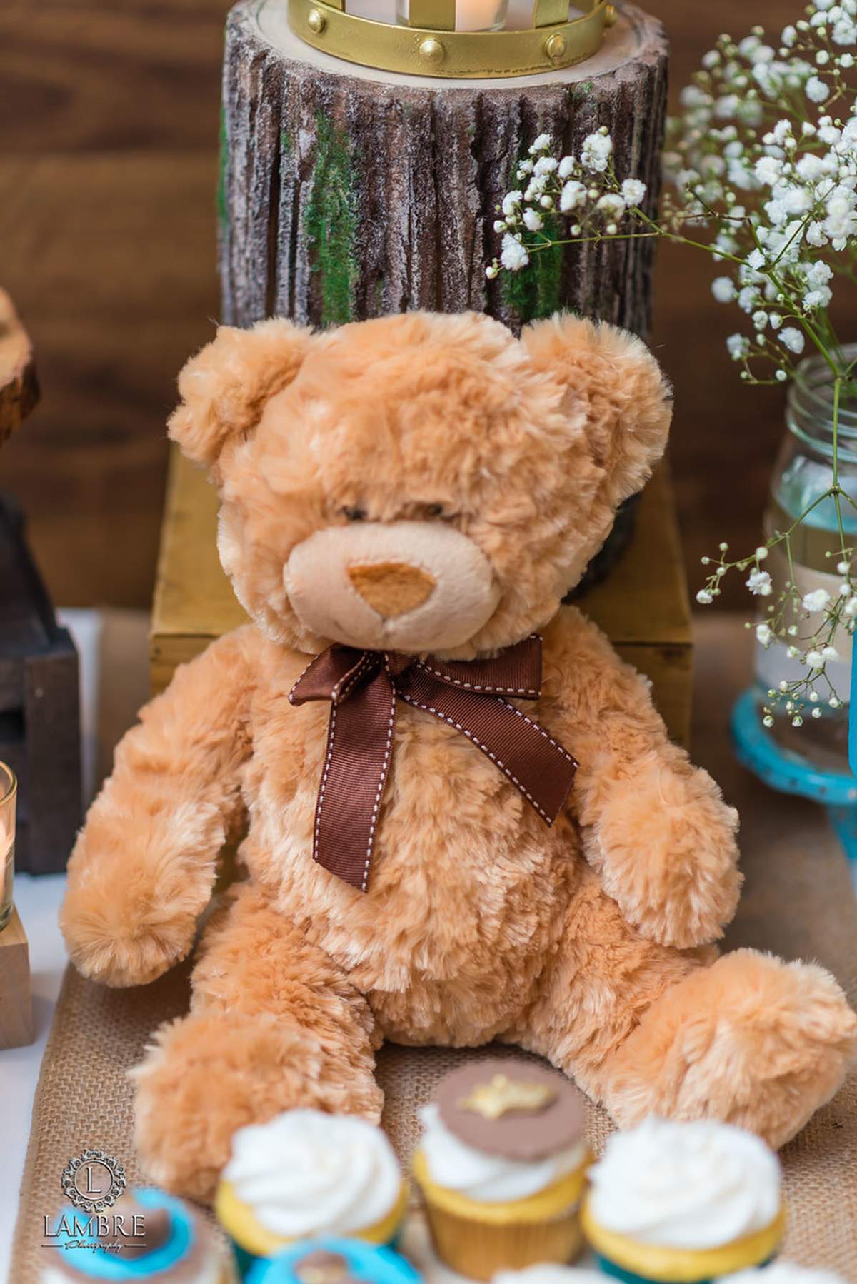Twice Blessed rustic Teddy bear Baby Shower Party Ideas | Photo 2 of 28 ...