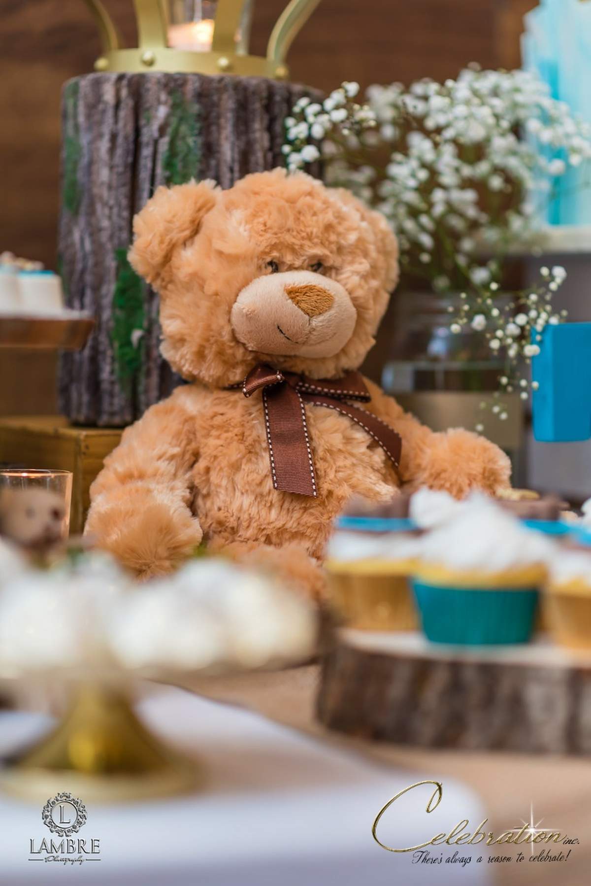 Twice Blessed rustic Teddy bear Baby Shower Party Ideas | Photo 2 of 28 ...