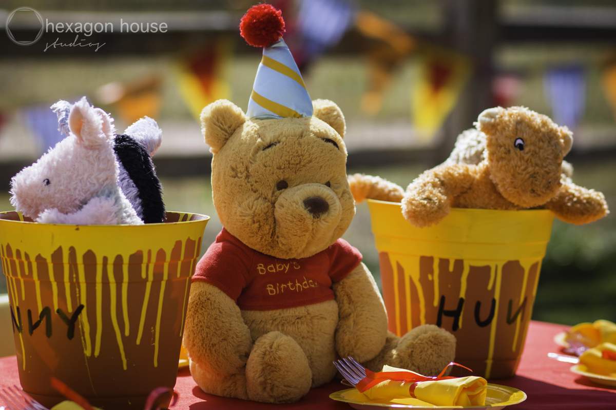 Winnie the Pooh Birthday Party Ideas | Photo 1 of 17 | Catch My Party