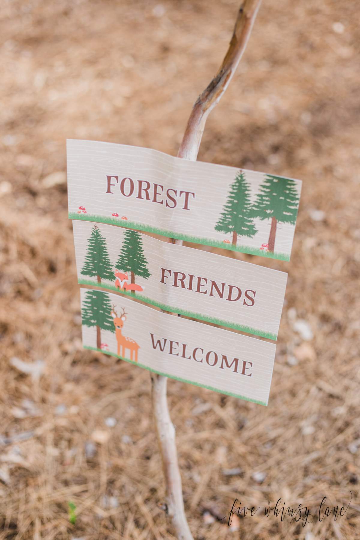 woodland thanksgiving / Thanksgiving/Fall "Forest Friendsgiving ...