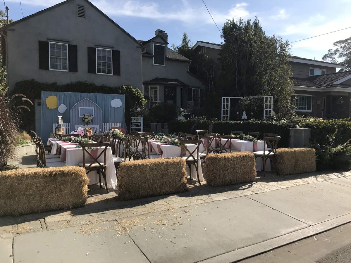 Farm / Farm Chic/ Rustic / Shabby Chic Birthday Party Ideas | Photo 2 ...