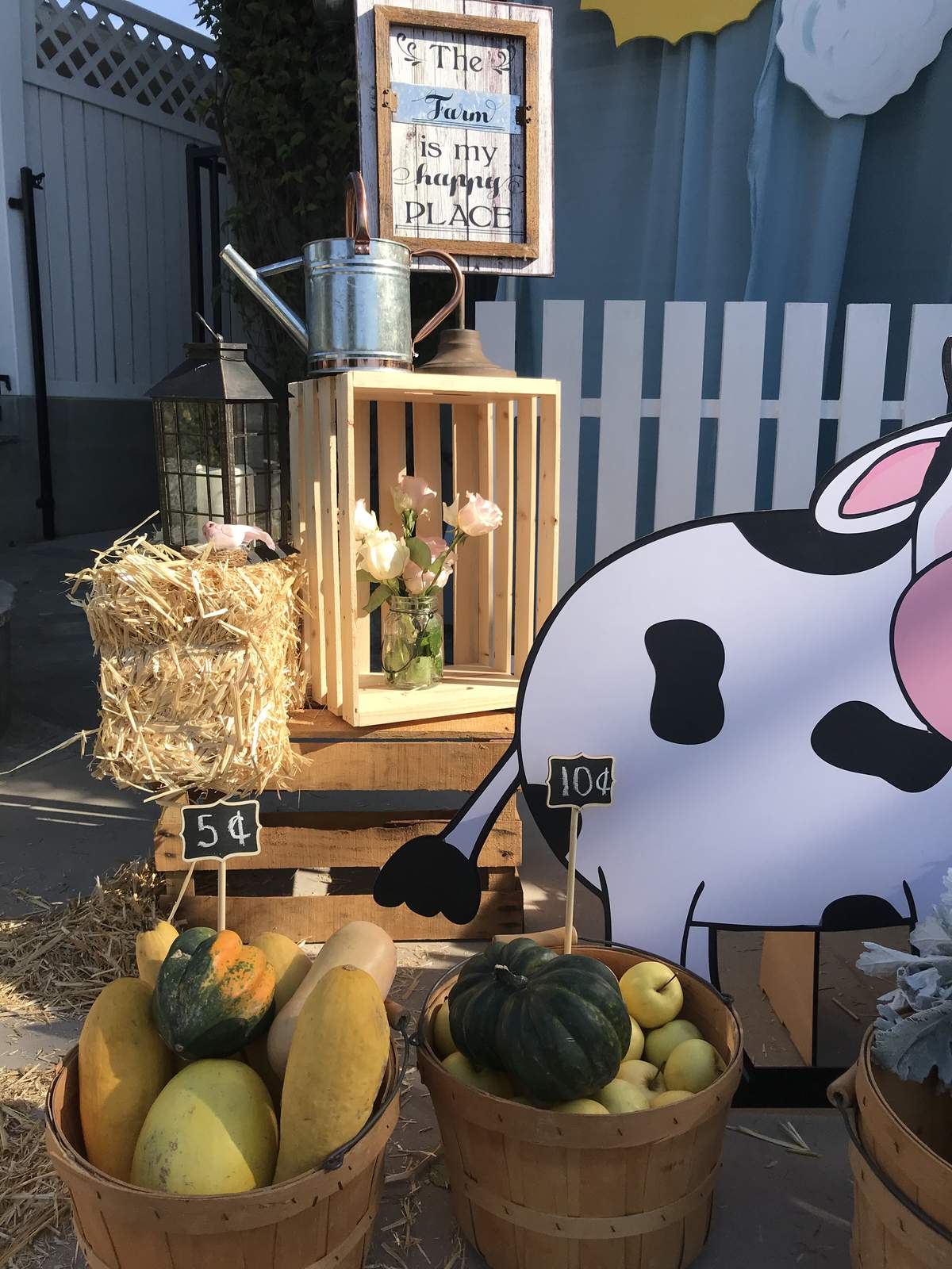 Farm / Farm Chic/ Rustic / Shabby Chic Birthday Party Ideas | Photo 2 ...