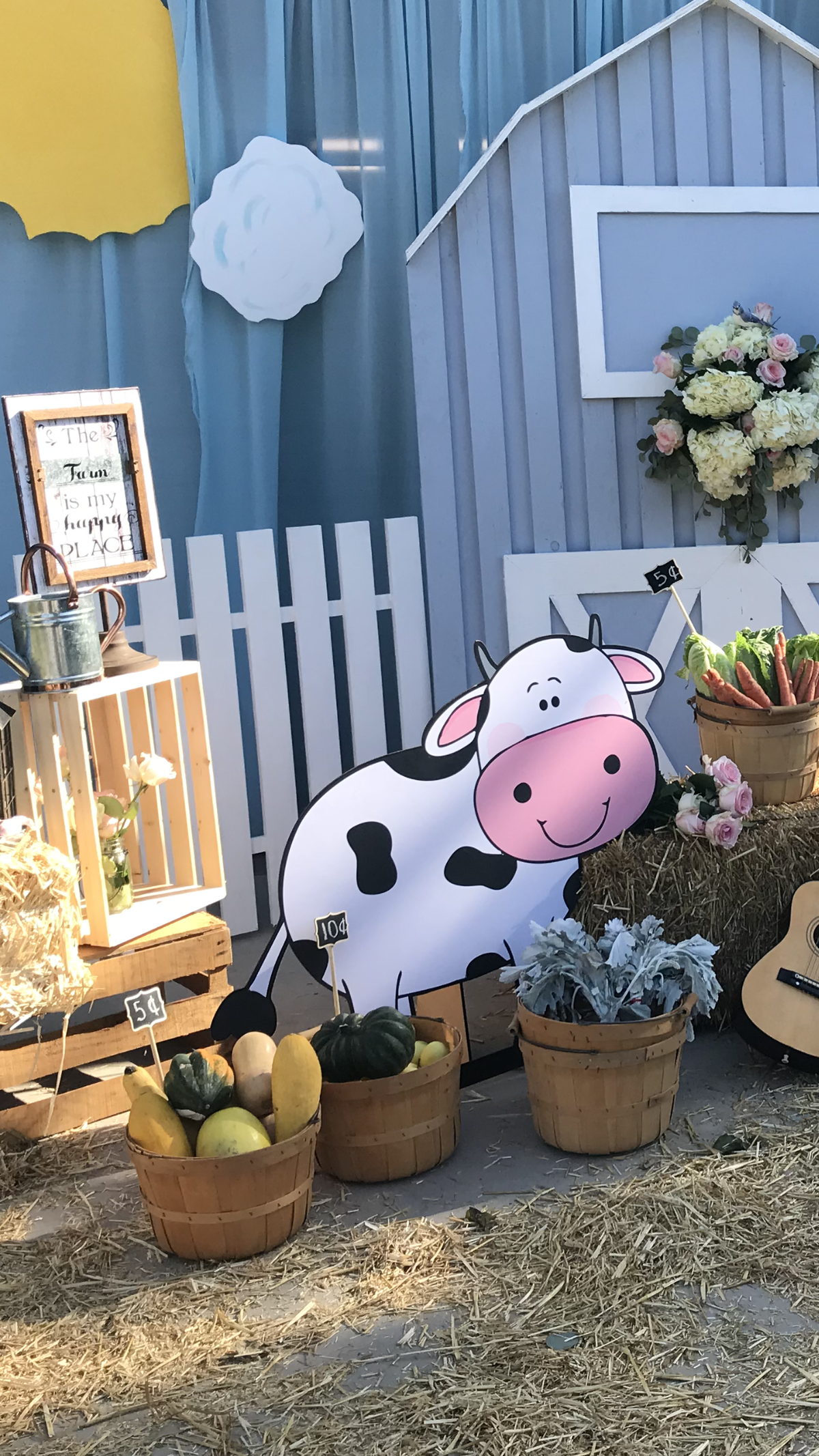 Farm / Farm Chic/ Rustic / Shabby Chic Birthday Party Ideas | Photo 2 ...