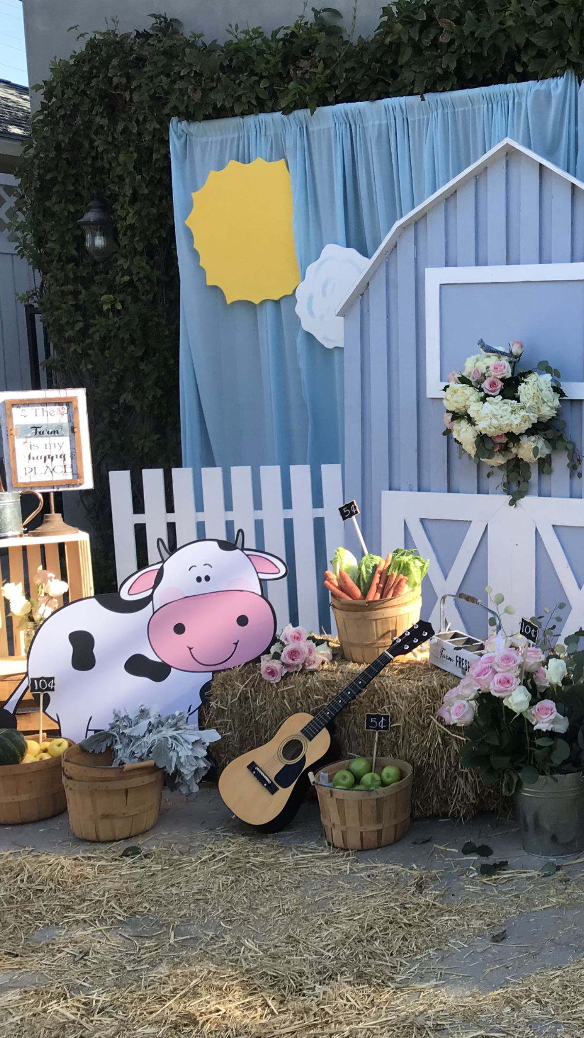 Farm / Farm Chic/ Rustic / Shabby Chic Birthday Party Ideas | Photo 2 ...