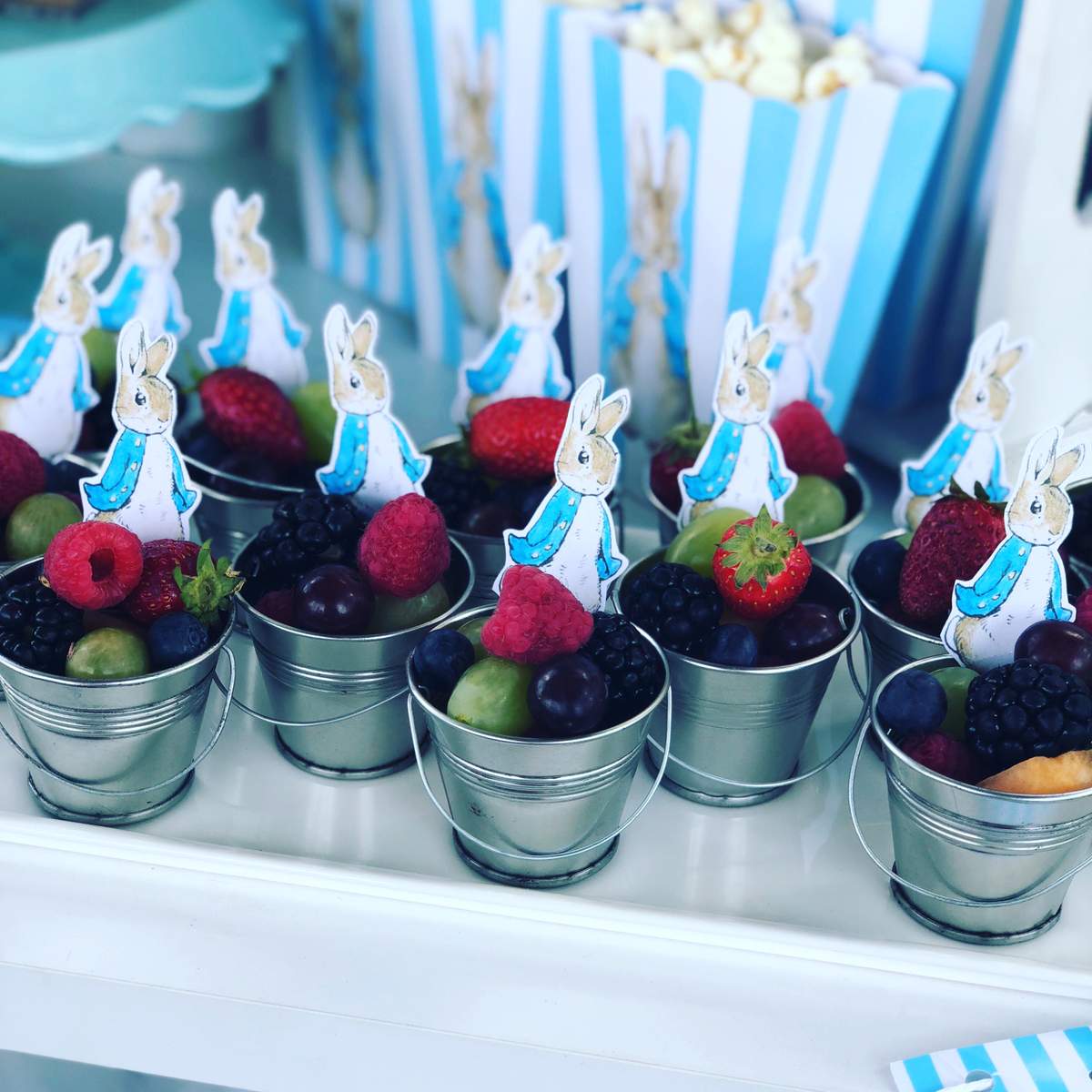 Peter Rabbit Birthday Party Ideas | Photo 6 of 12 | Catch My Party