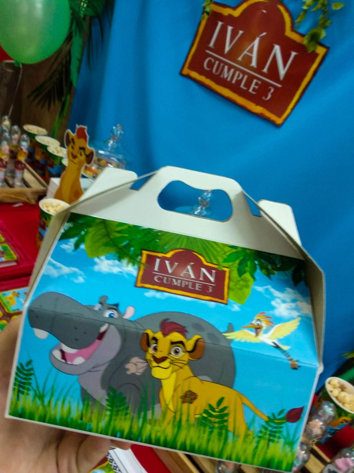 The Lion Guard Birthday Party Ideas | Photo 14 of 14 | Catch My Party