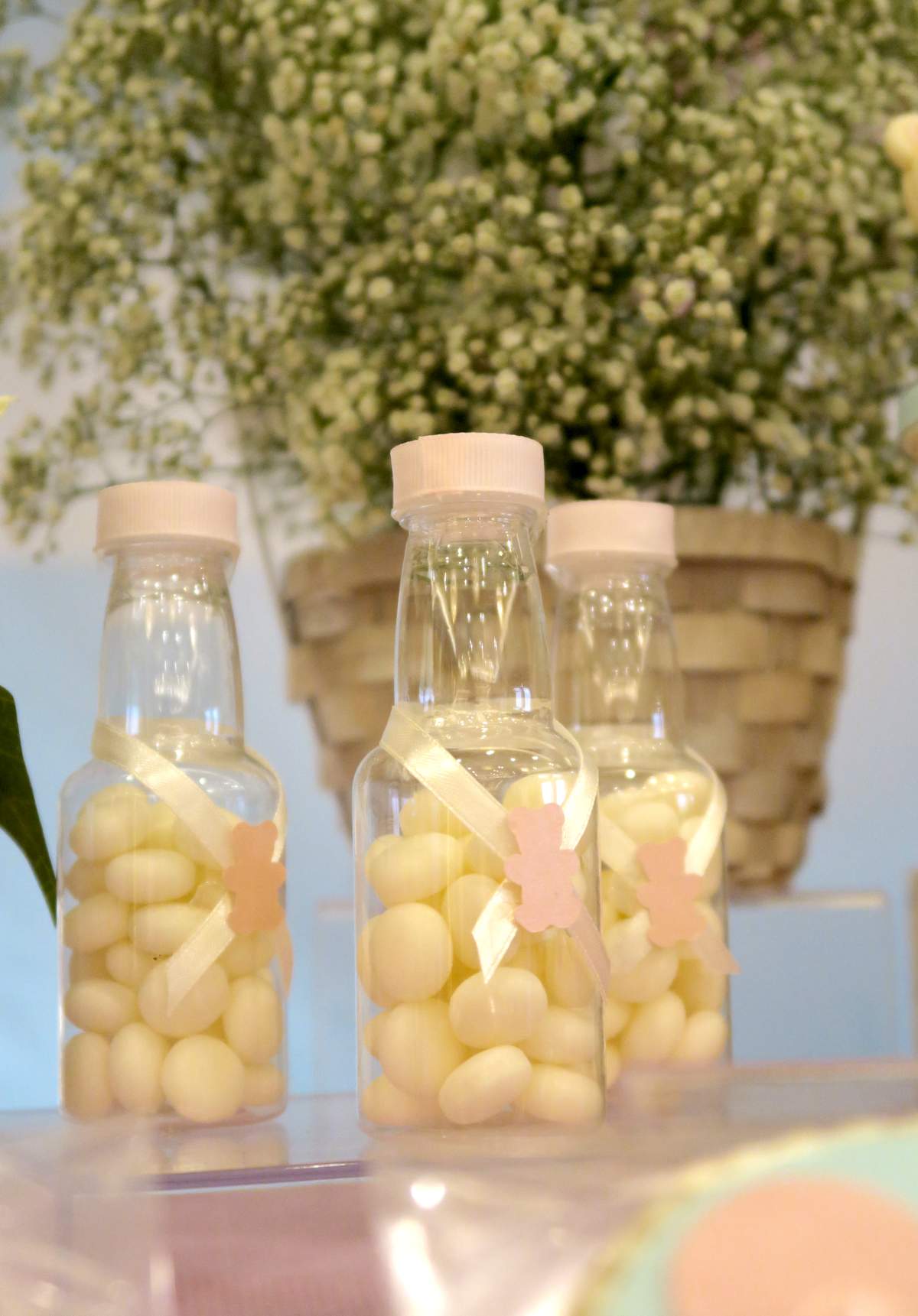 Beary Fun Theme Birthday Party Ideas | Photo 1 of 23 | Catch My Party