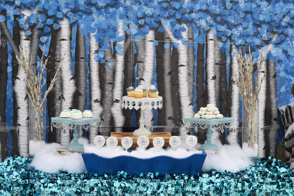 Winter, Snow Birthday Party Ideas | Photo 8 of 56 | Catch My Party
