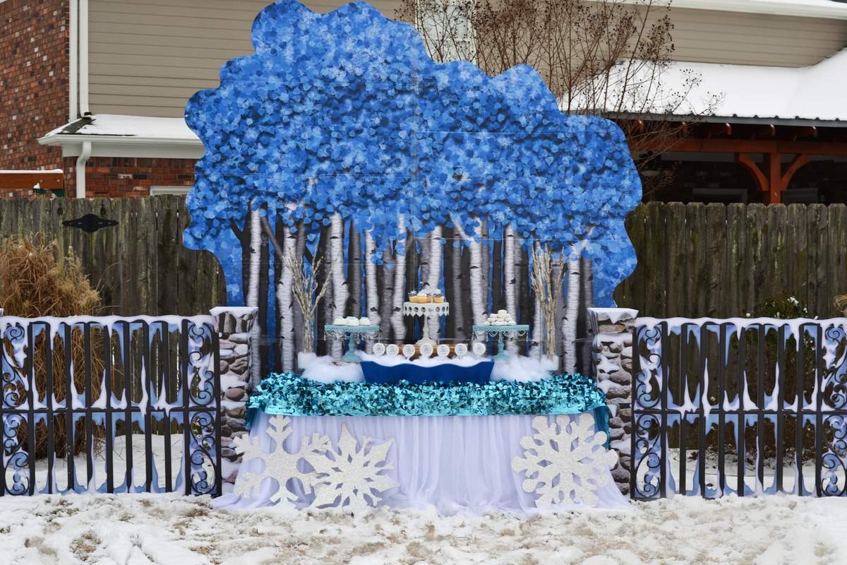 Winter Snow Birthday Party Ideas Photo 1 Of 56 Catch My Party