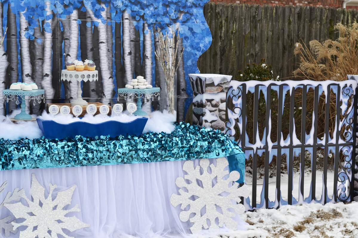 Winter, Snow Birthday Party Ideas | Photo 8 of 56 | Catch My Party