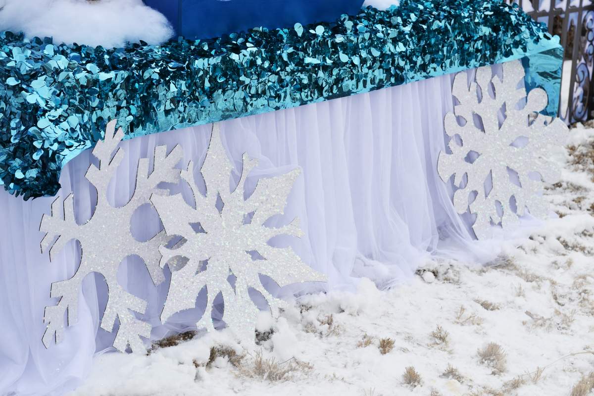 Winter, Snow Birthday Party Ideas | Photo 1 of 56 | Catch My Party
