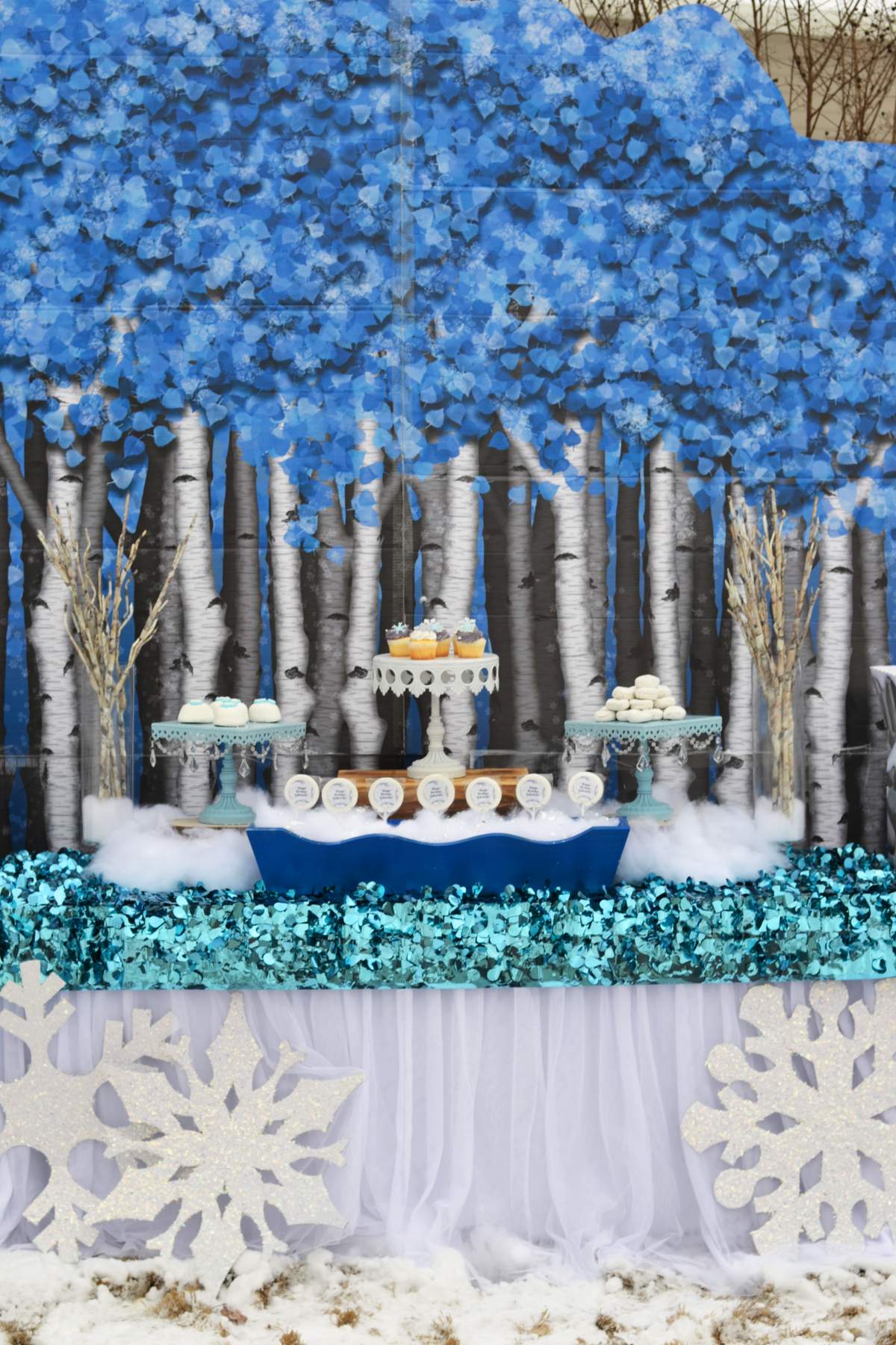 Winter, Snow Birthday Party Ideas | Photo 1 of 56 | Catch My Party