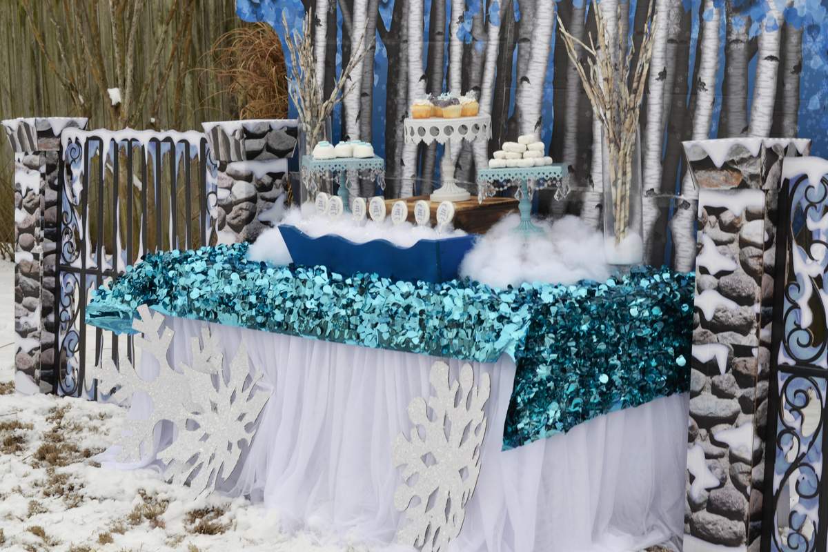 Winter, Snow Birthday Party Ideas | Photo 1 of 56 | Catch My Party