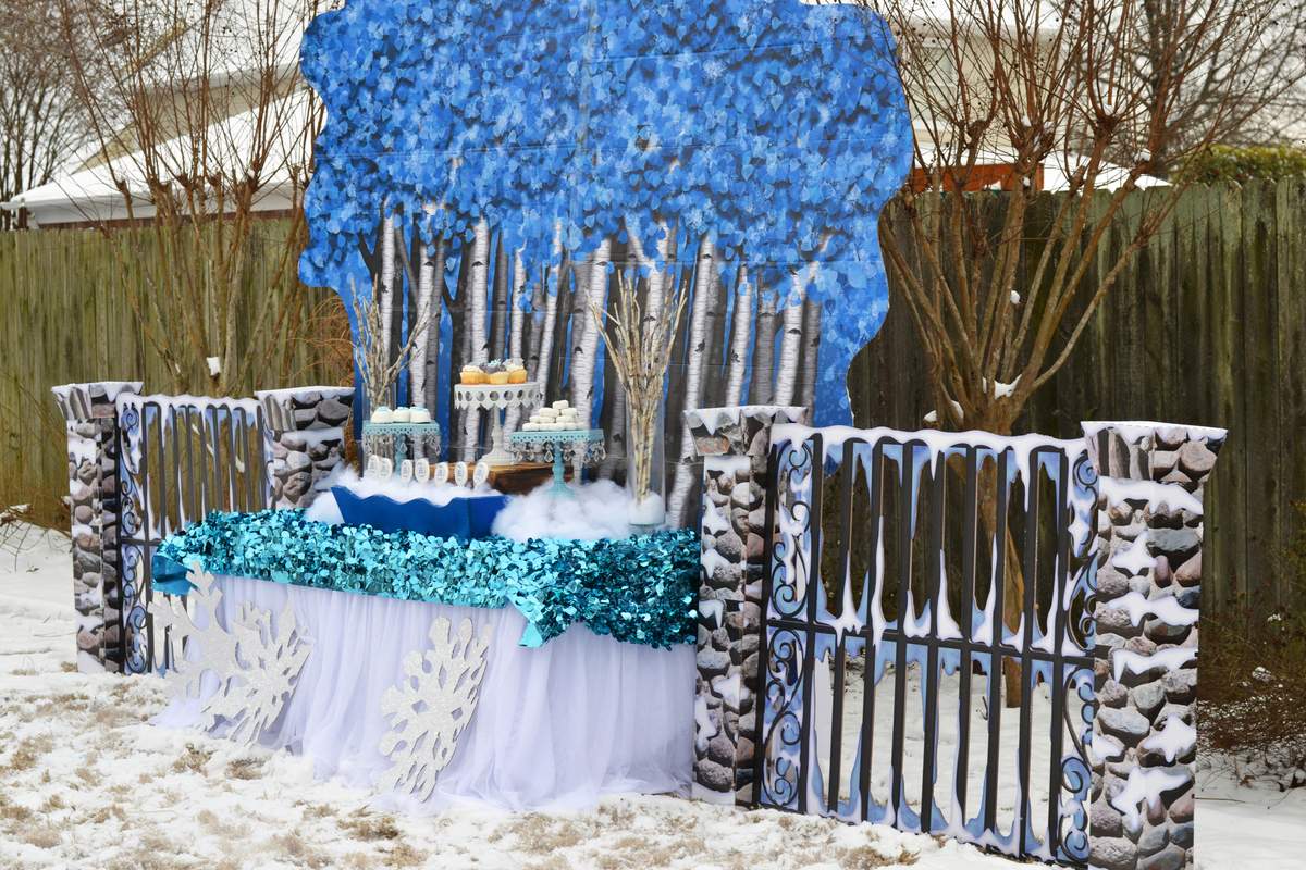 Winter, Snow Birthday Party Ideas | Photo 8 of 56 | Catch My Party