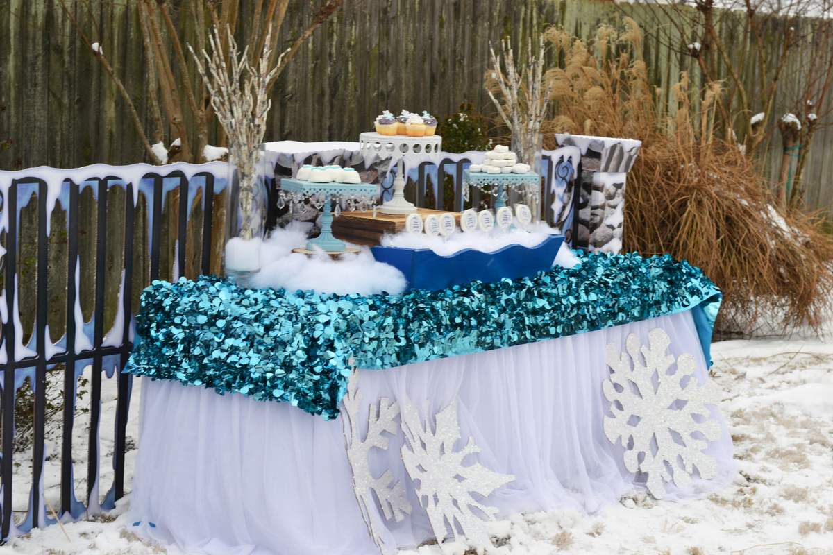 Winter, Snow Birthday Party Ideas | Photo 1 of 56 | Catch My Party